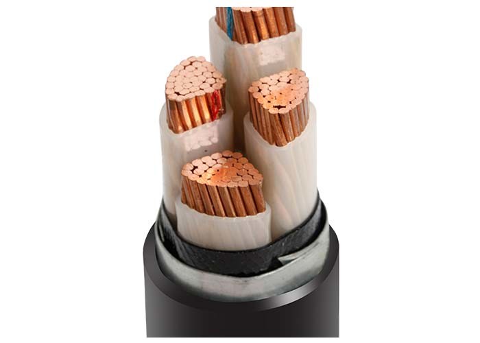 4 câble blindé 0,6/1kV de bande en acier de double de cable électrique ...